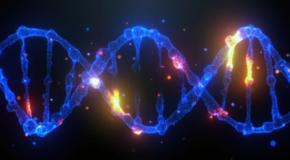 Scientists Control Human DNA with Electricity in 'Leap Forward' - The ...